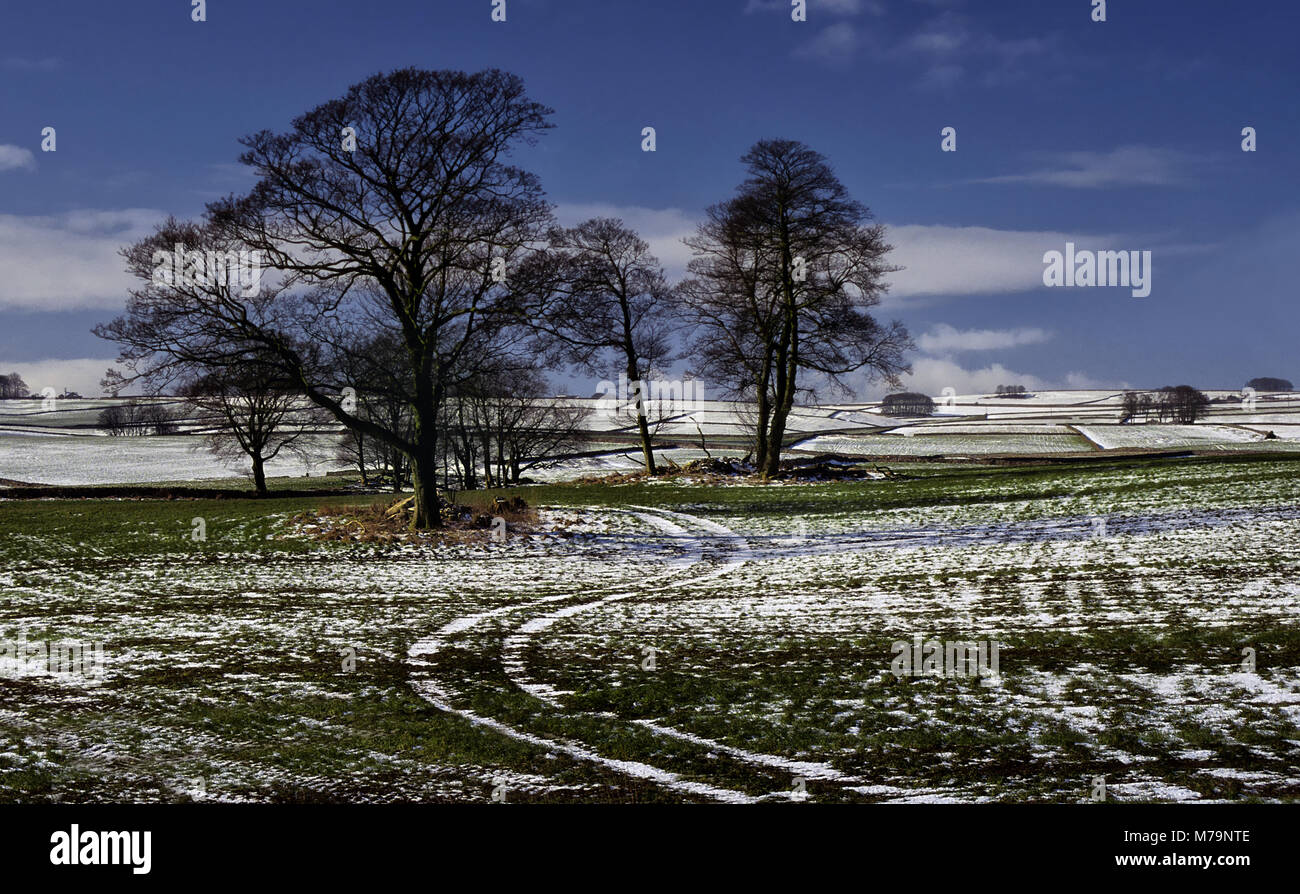 Kalkstein des peak district -Fotos und -Bildmaterial in hoher Auflösung ...