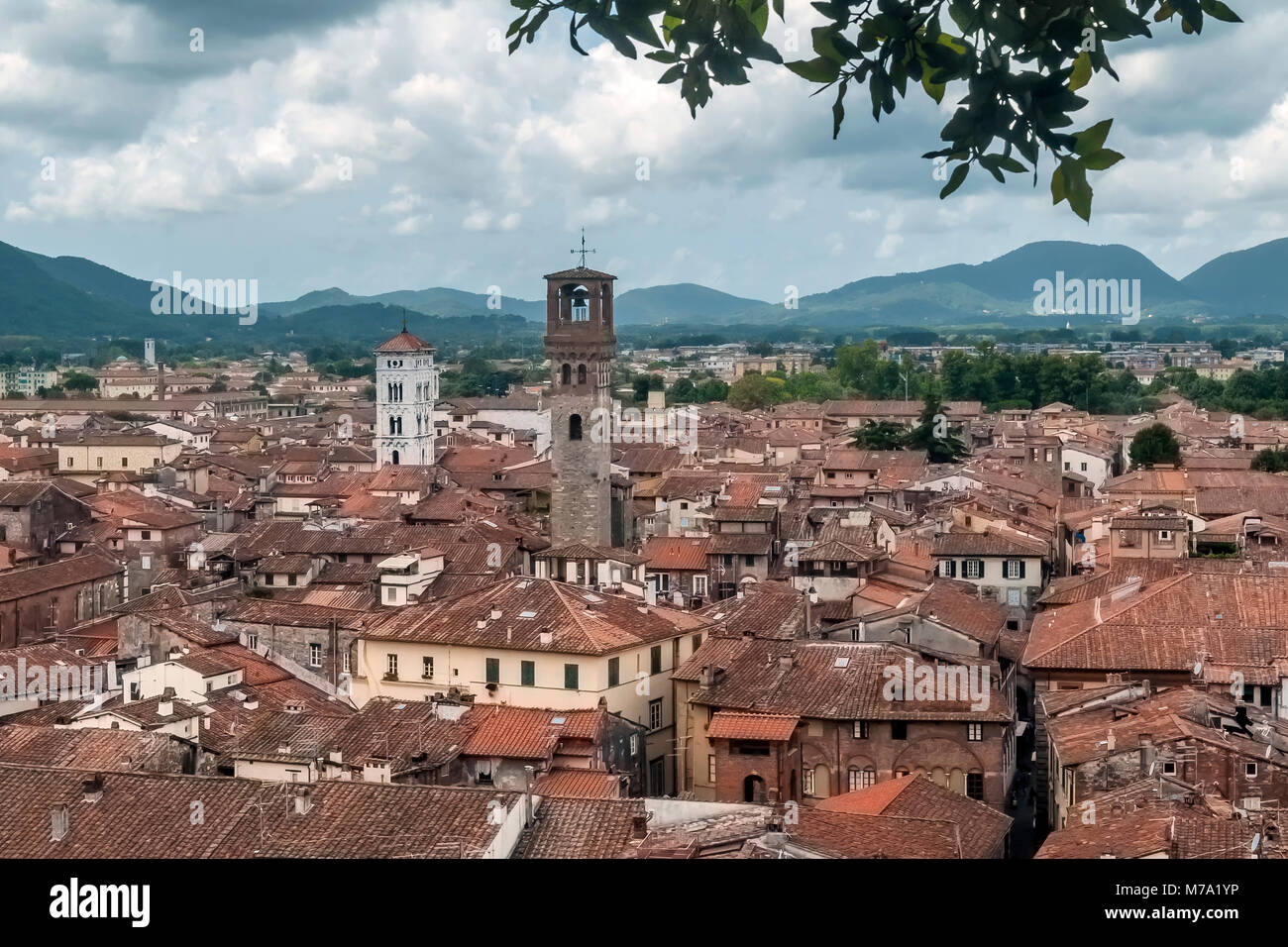 Lucca View From Above Stockfotos und -bilder Kaufen - Alamy
