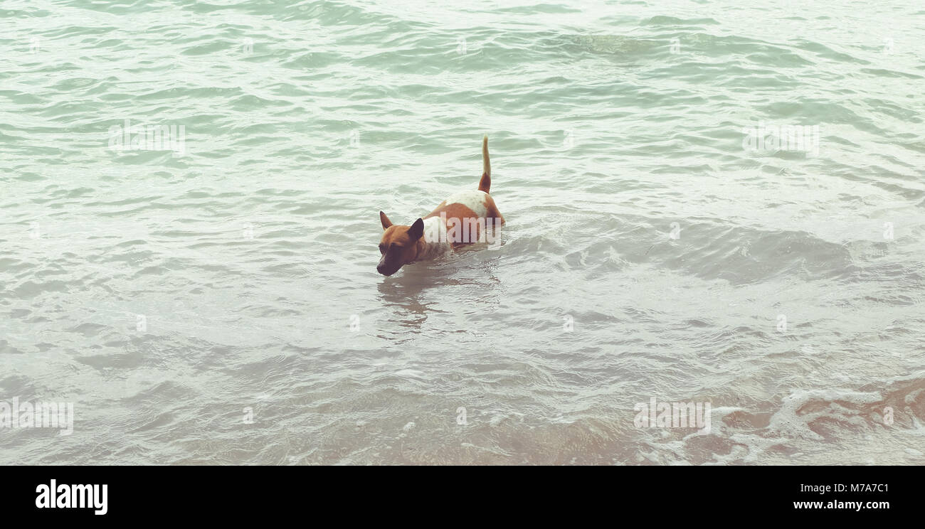 Bobby fisch Stockfotos und -bilder Kaufen - Alamy