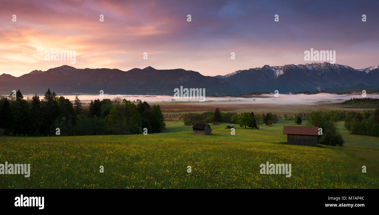 Murnau Moor (Murnauer Moos), Bayern, Deutschland Stockfotografie - Alamy