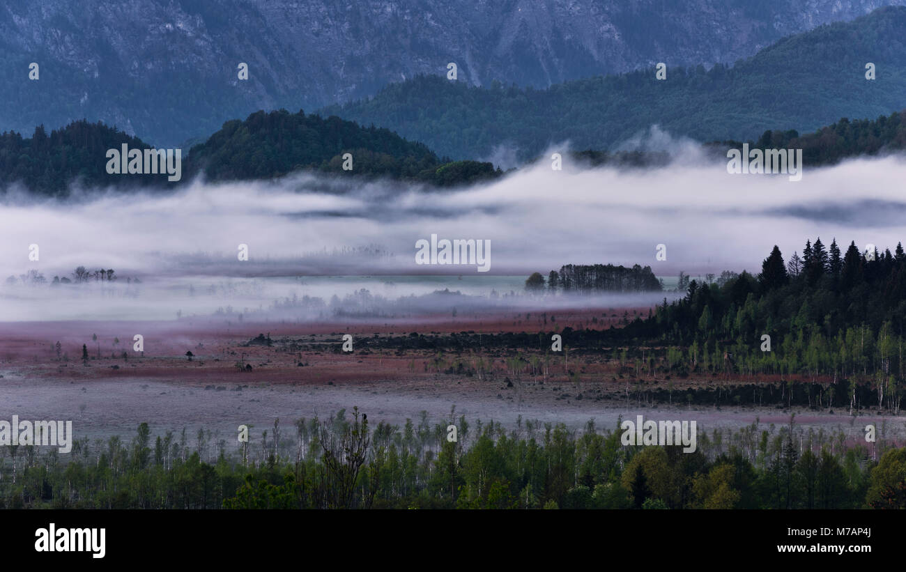Murnau Moor (Murnauer Moos), Bayern, Deutschland Stockfotografie - Alamy