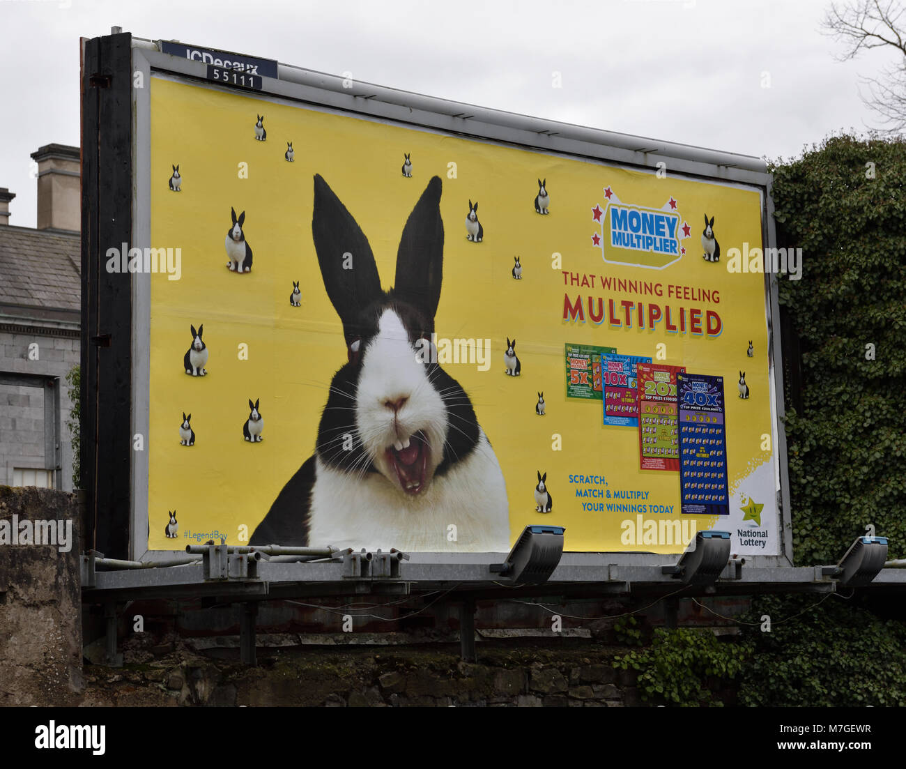 Tiere in der werbung -Fotos und -Bildmaterial in hoher Auflösung – Alamy
