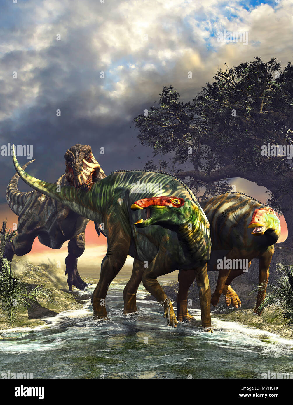 Edmontosaurus Dinosaurier Kampf gegen einen T-Rex Stockfotografie - Alamy