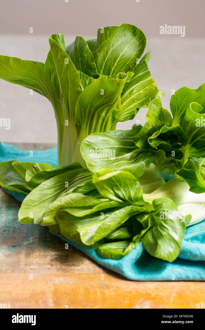 Frische rohe baby Bok choy oder Pak Choi Chinakohl Nahaufnahme ...