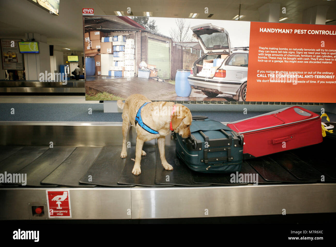 Uk border agency manchester -Fotos und -Bildmaterial in hoher Auflösung ...