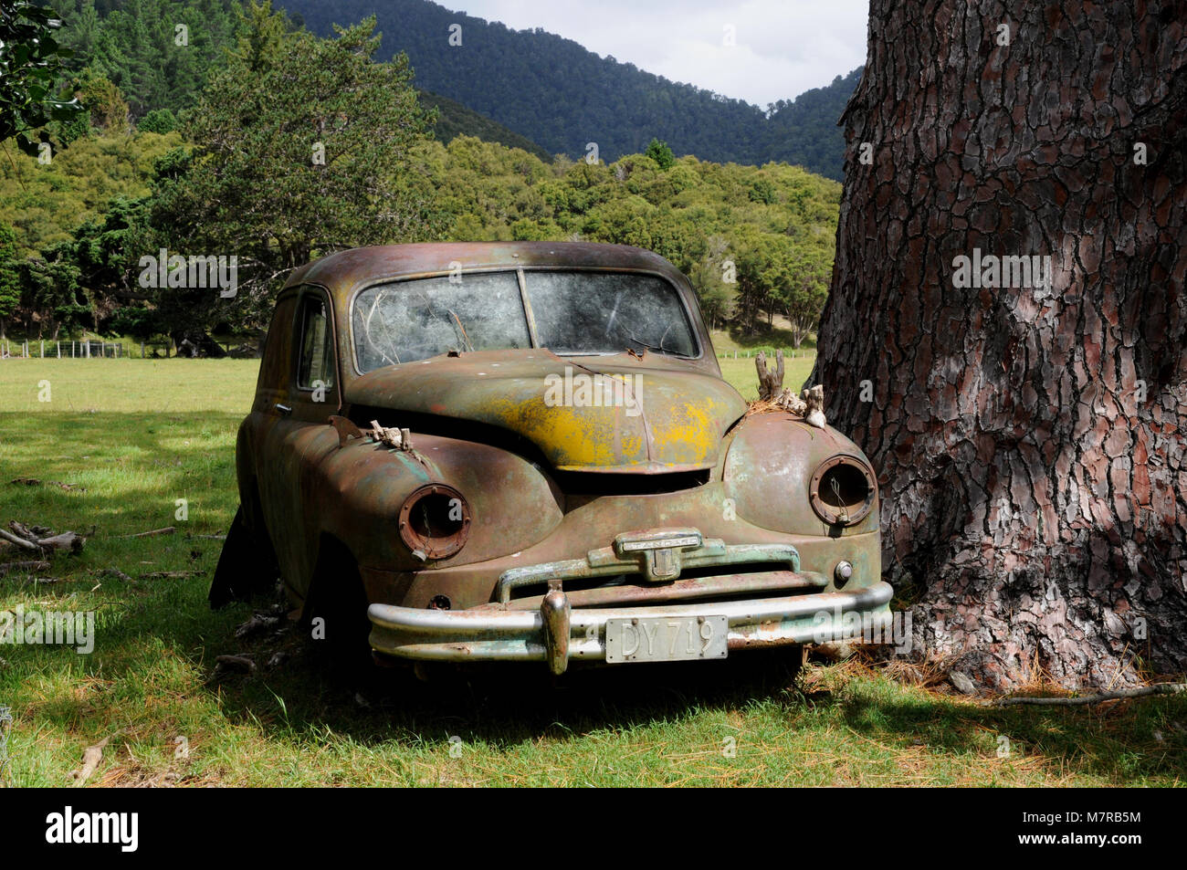 Standard Vanguard Stockfotos und -bilder Kaufen - Alamy