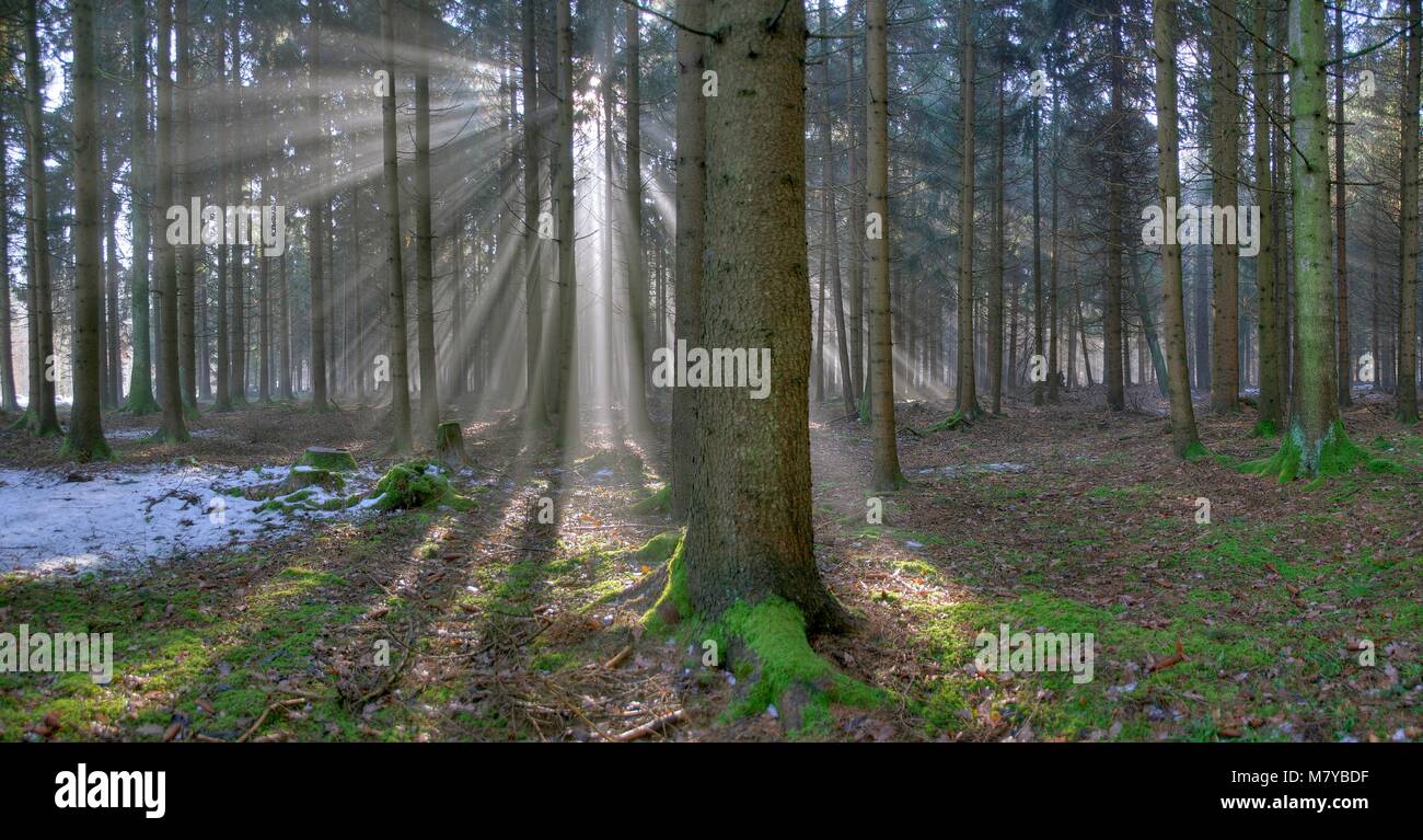 4 fotos -Fotos und -Bildmaterial in hoher Auflösung – Alamy