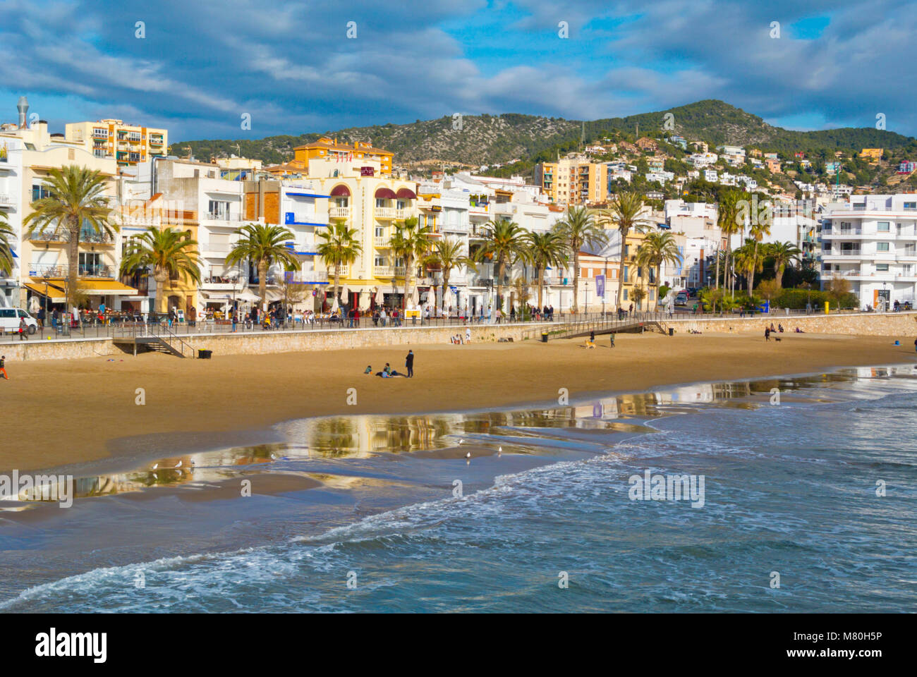 Sebastia argus -Fotos und -Bildmaterial in hoher Auflösung – Alamy
