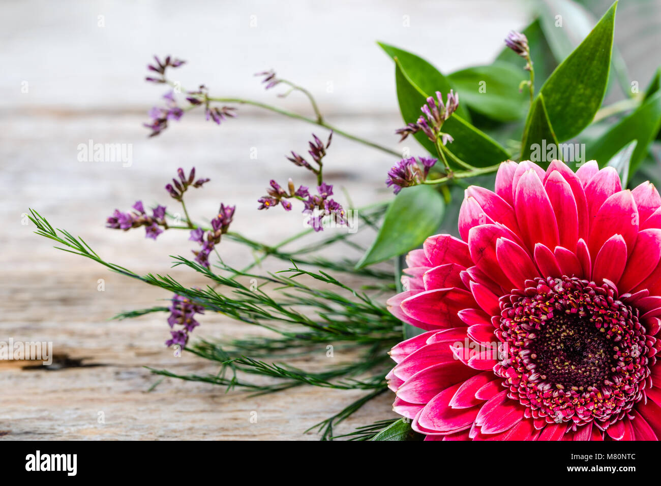 Die gerbera Blume, Muttertag, Frauentag - 8. März oder Hochzeit ...