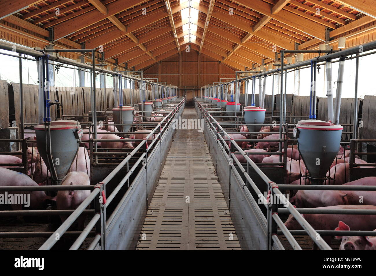 Kistenstall reihig -Fotos und -Bildmaterial in hoher Auflösung – Alamy