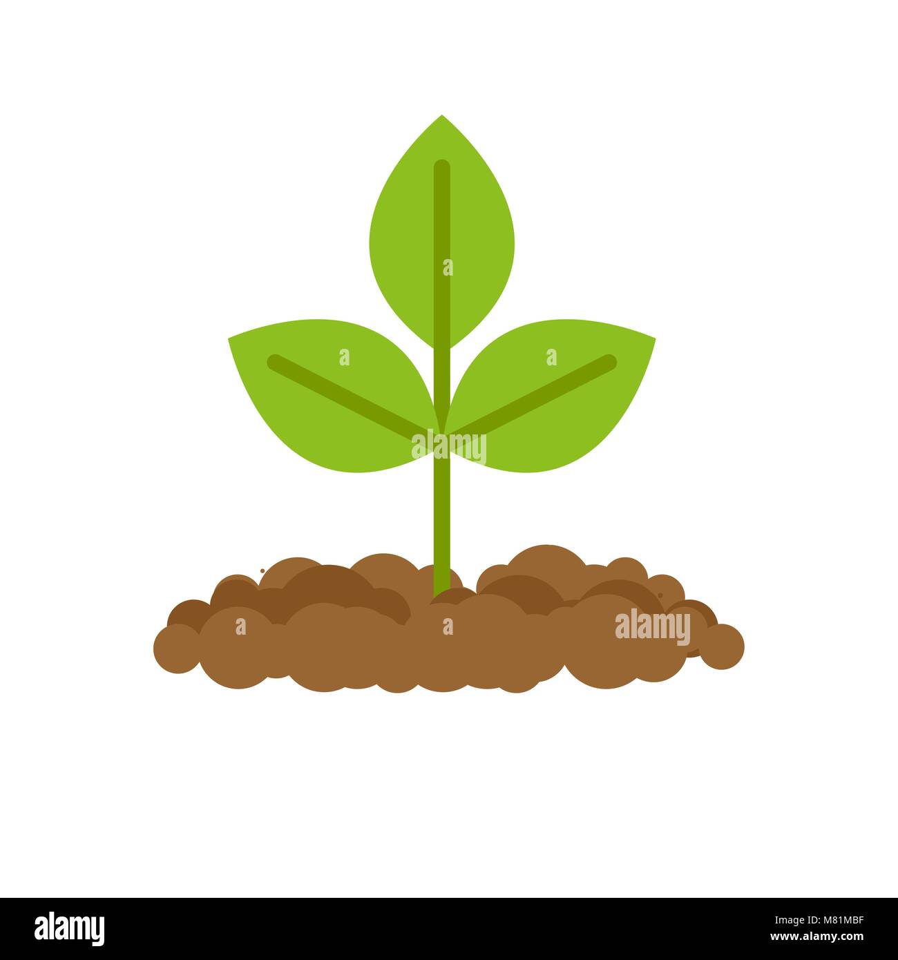 Wachsender baum aus samen Stock-Vektorgrafiken kaufen - Alamy