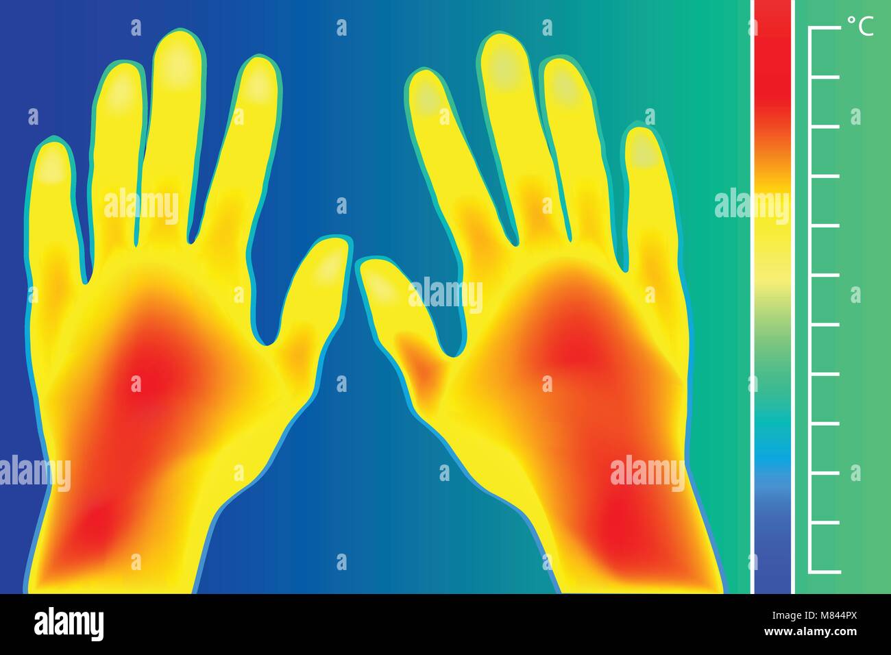 Wärmebildkamera menschliche Hände Vector Illustration. Das Bild eines ...