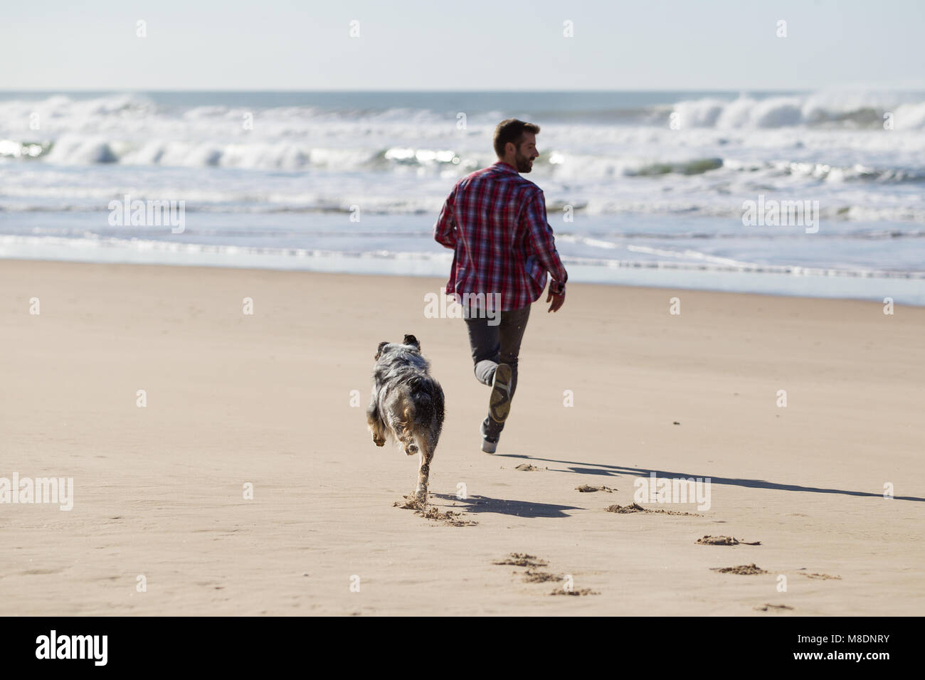 Mann mit Hund am Strand läuft Stockfotografie - Alamy