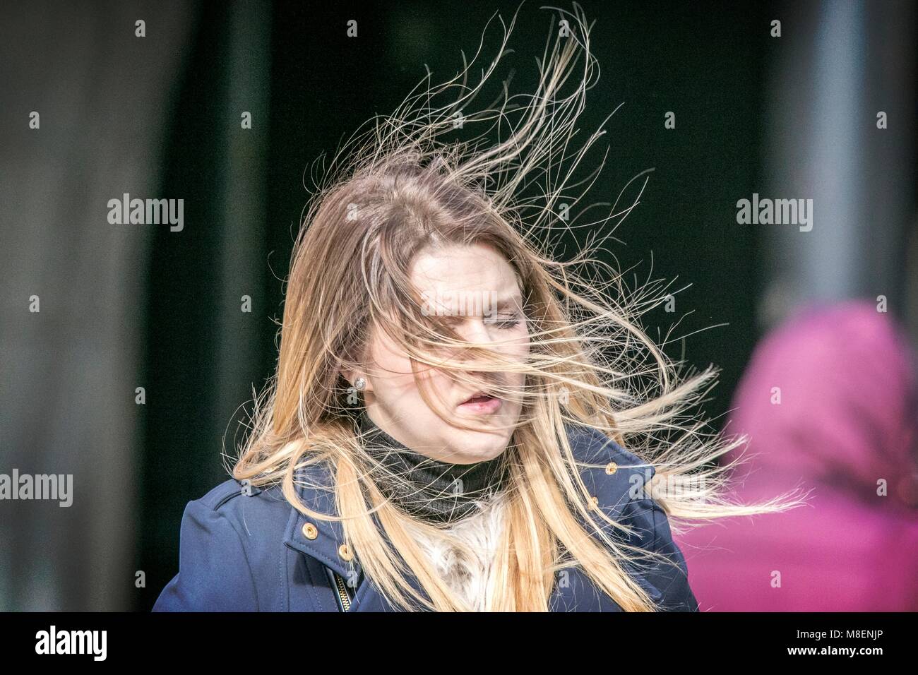 Wind, Haar, windswept, Bad Hair Day, wind Haare, lange Haare, Frau, Gesicht, Kopf und Schultern ...