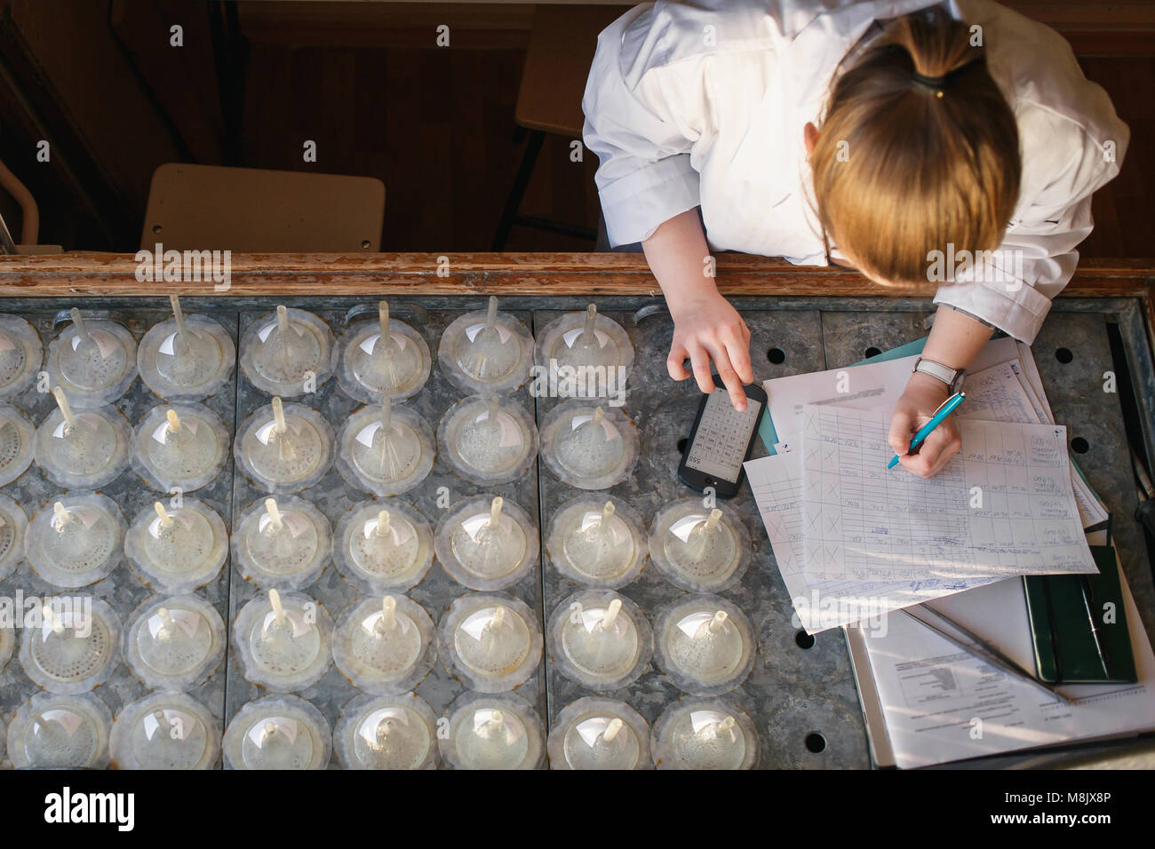 Chemische berechnungen -Fotos und -Bildmaterial in hoher Auflösung – Alamy