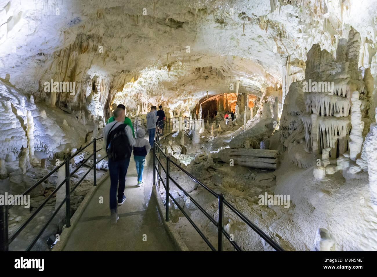 Die Grotte von Postojna, Oberkrain, Slowenien, Europa Stockfotografie ...