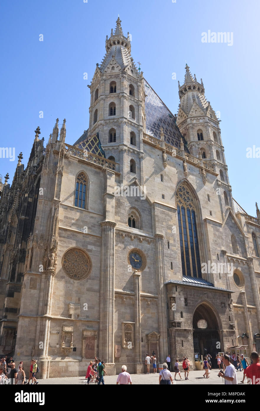 Der Stephansdom in Wien, Österreich Stockfotografie - Alamy