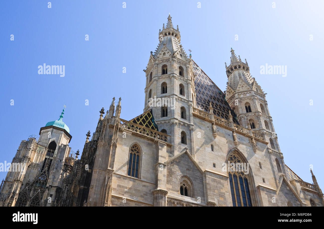 Der Stephansdom in Wien, Österreich Stockfotografie - Alamy