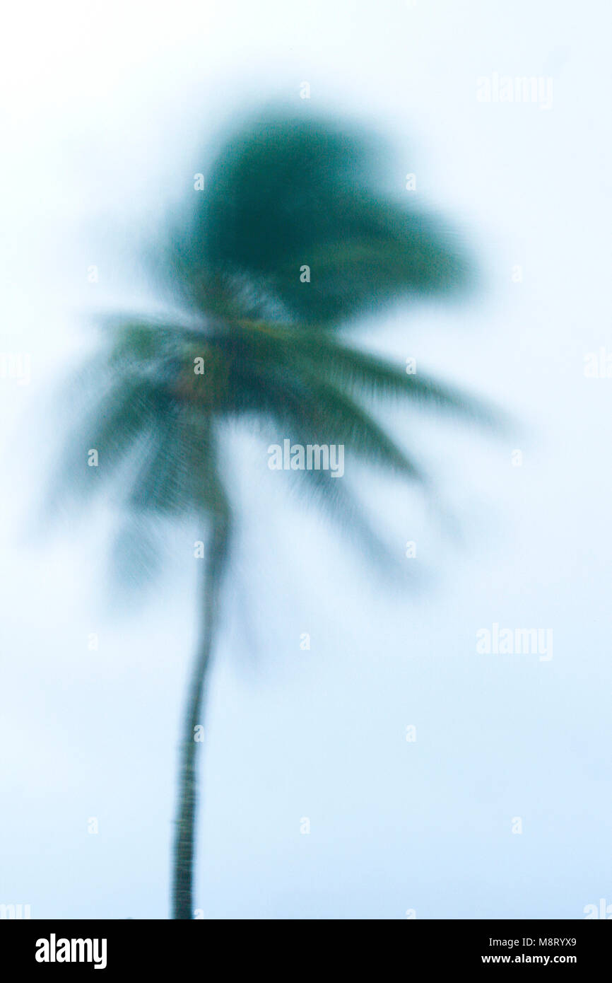 Tonga insel -Fotos und -Bildmaterial in hoher Auflösung – Alamy