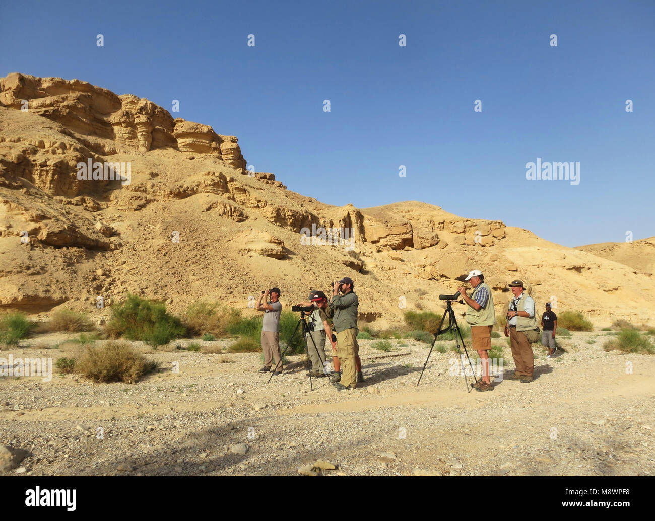 Wadi in israel -Fotos und -Bildmaterial in hoher Auflösung – Alamy