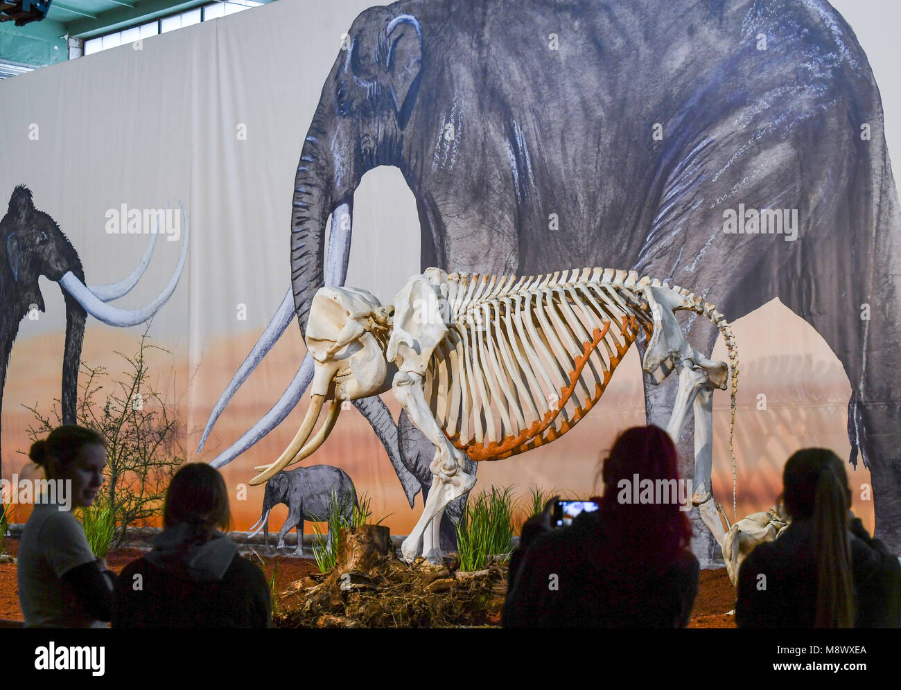 Zoos In Thringen