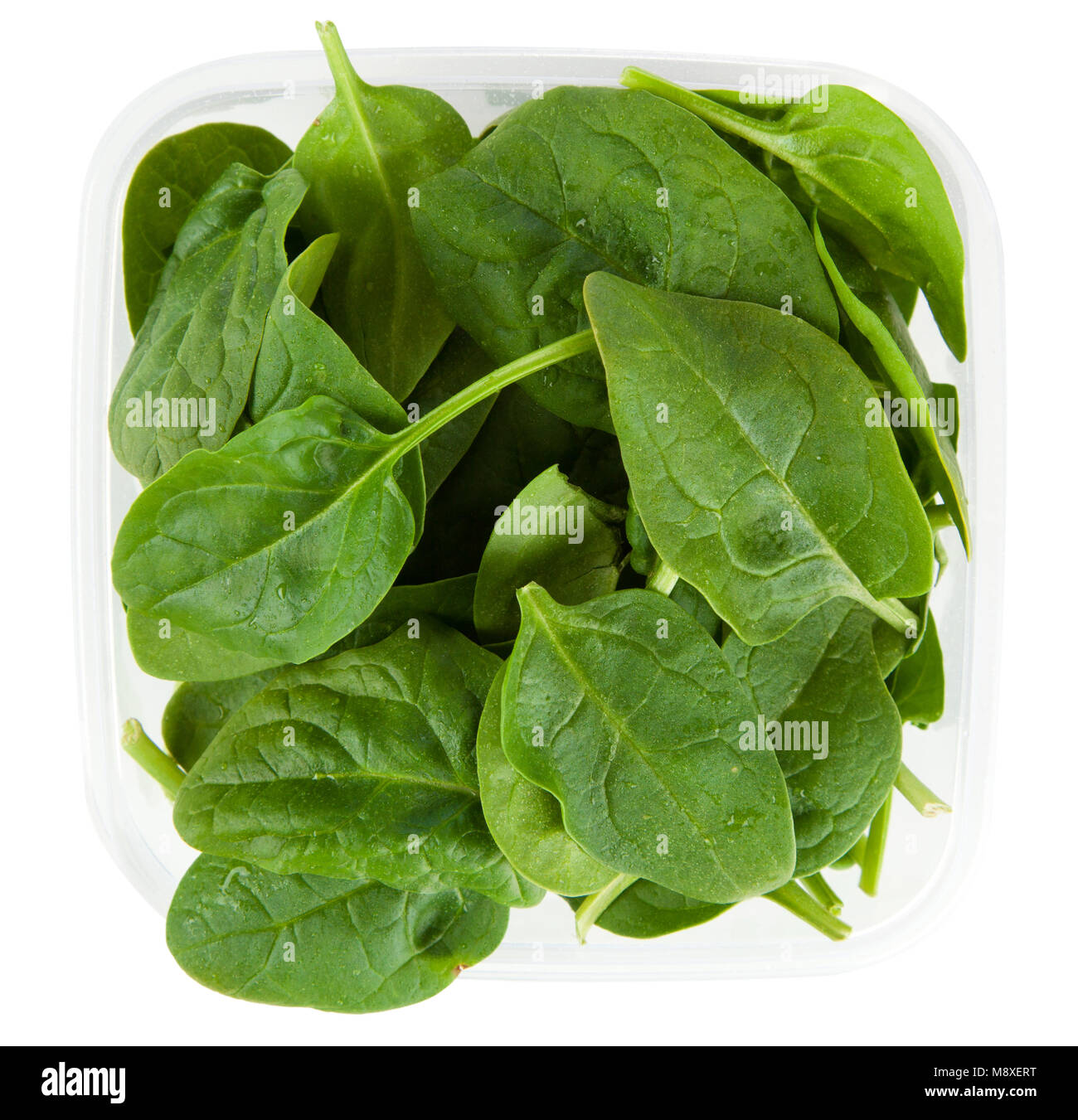 Frischer babyspinat -Fotos und -Bildmaterial in hoher Auflösung – Alamy