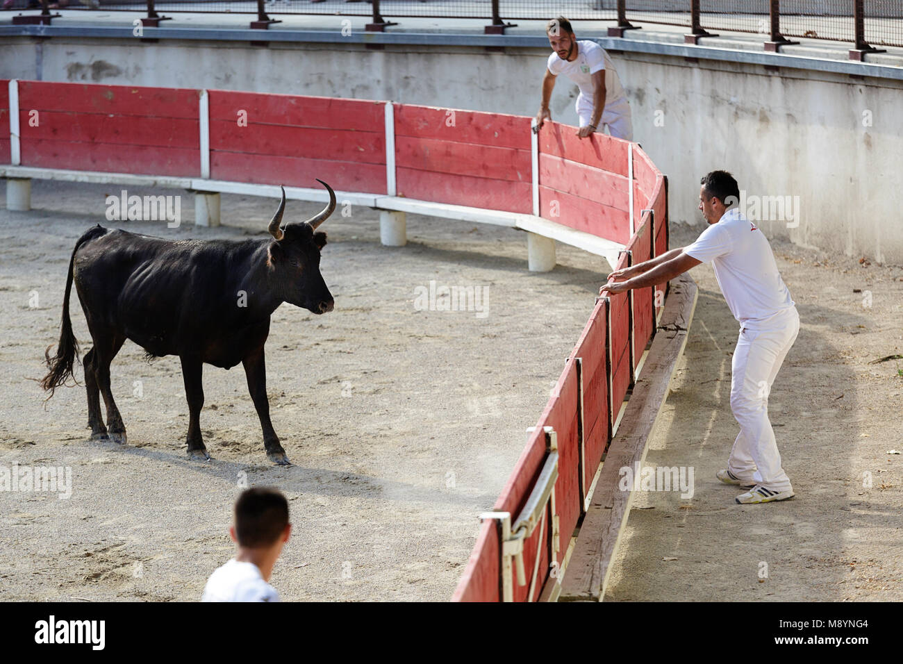 Red bull ring rennen -Fotos und -Bildmaterial in hoher Auflösung – Alamy