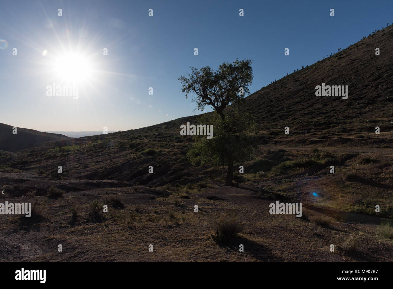 Real de catorce mexico -Fotos und -Bildmaterial in hoher Auflösung – Alamy