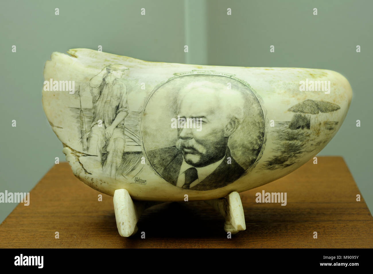 Scrimshaw (pottwal Zahn) Kupferstich von Fátima Madruga. Museu dos ...