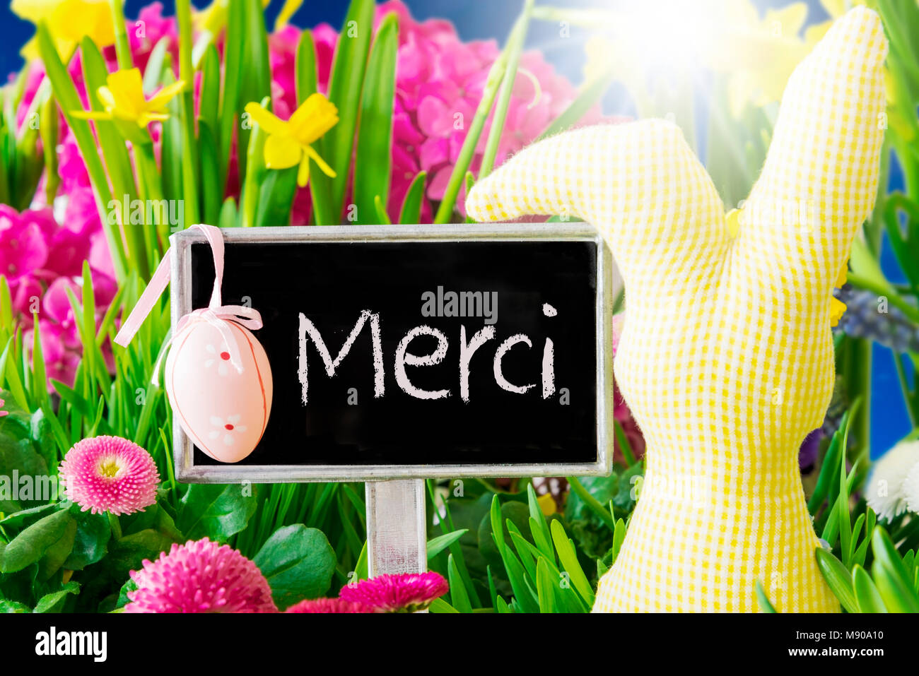 Schild mit französischen Text Merci bedeutet. Vielen Dank. Sonnige ...