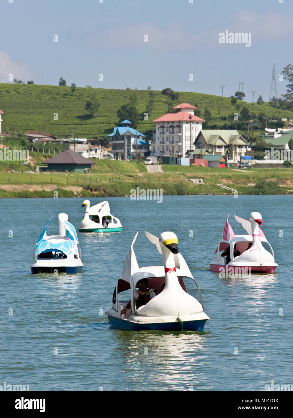 Gregory in Nuwara Eliya, Sri Lanka mit Schwan tretboot Sportboote, die ...