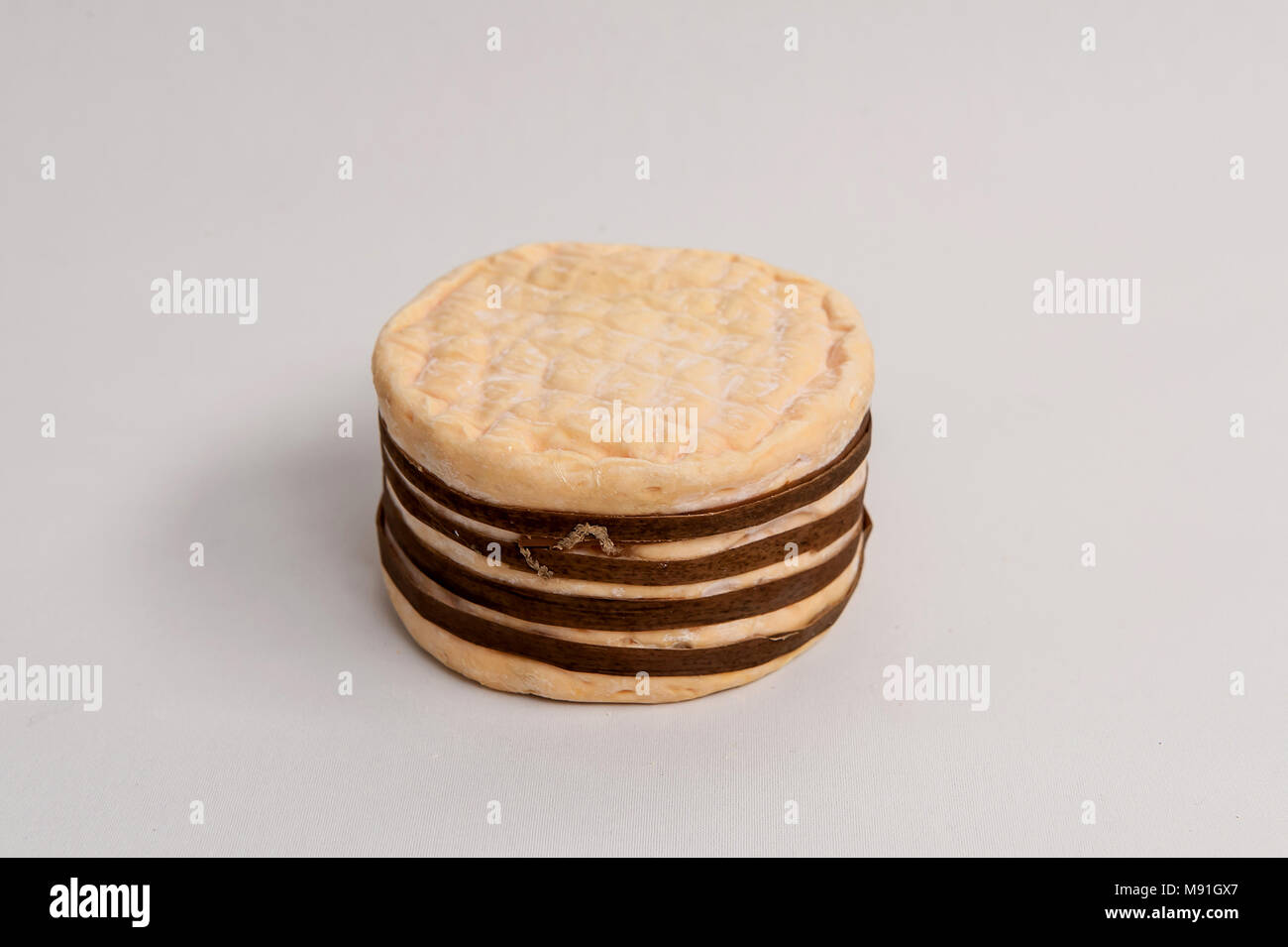 Brevibacterium linens -Fotos und -Bildmaterial in hoher Auflösung – Alamy