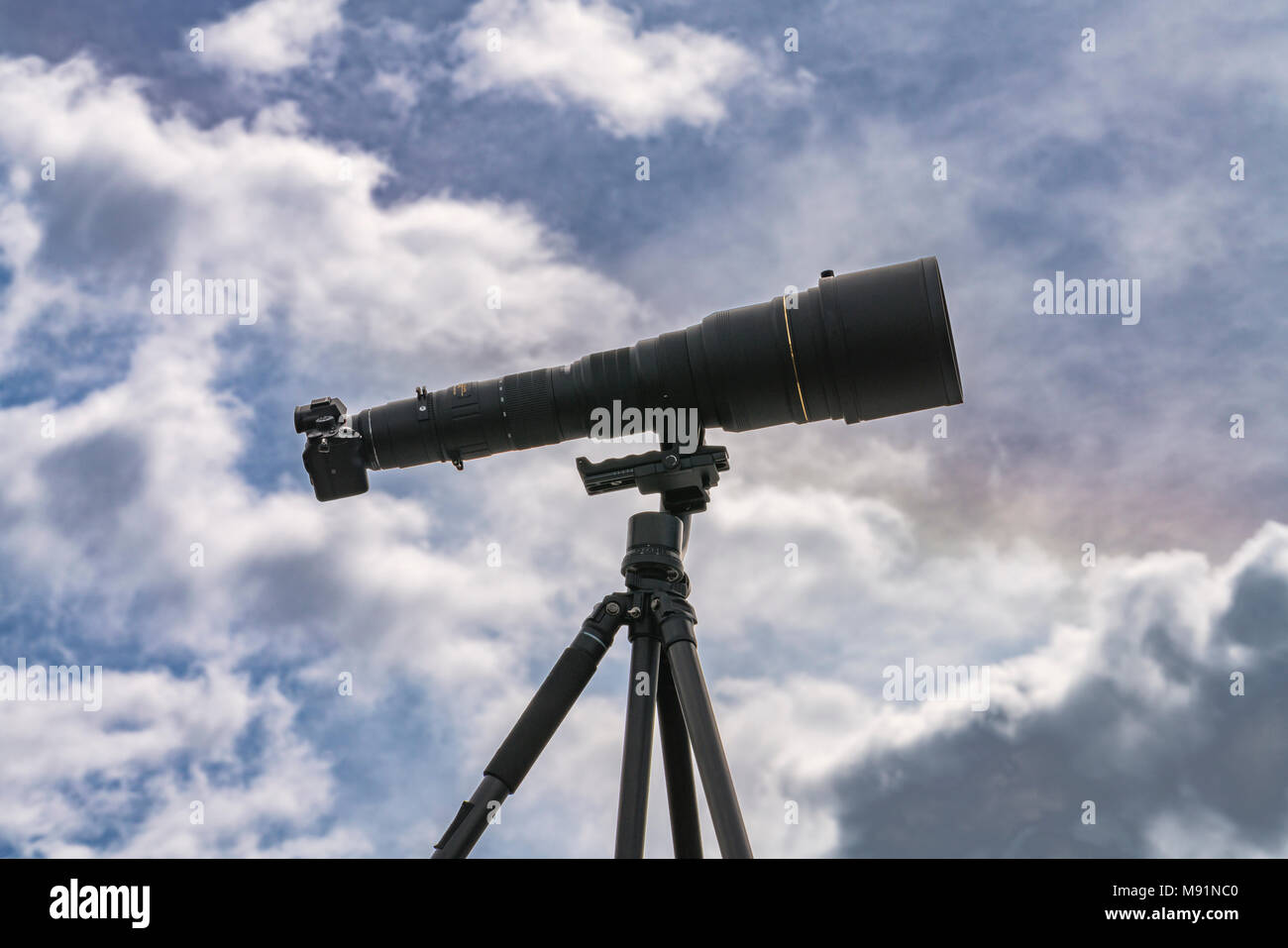 Bei 800mm -Fotos und -Bildmaterial in hoher Auflösung – Alamy