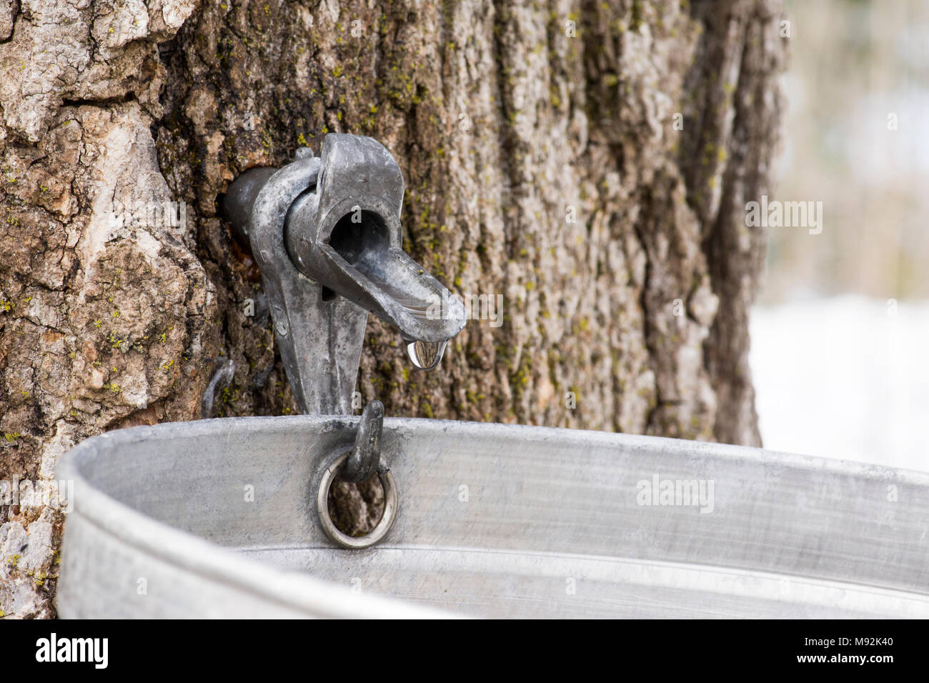 Tropfender sirup -Fotos und -Bildmaterial in hoher Auflösung – Alamy