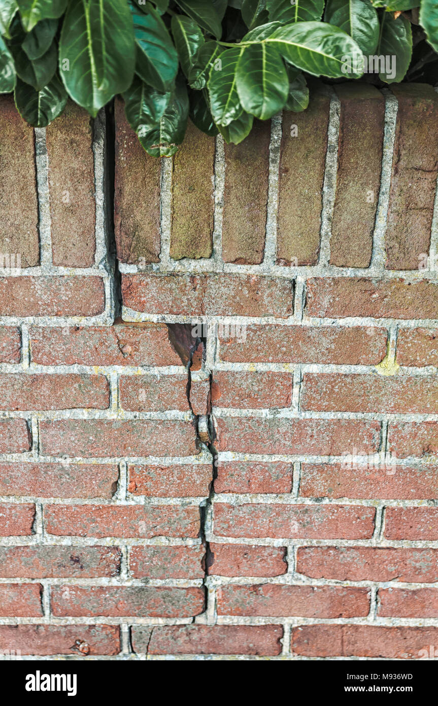 Risse in einer mauer -Fotos und -Bildmaterial in hoher Auflösung – Alamy