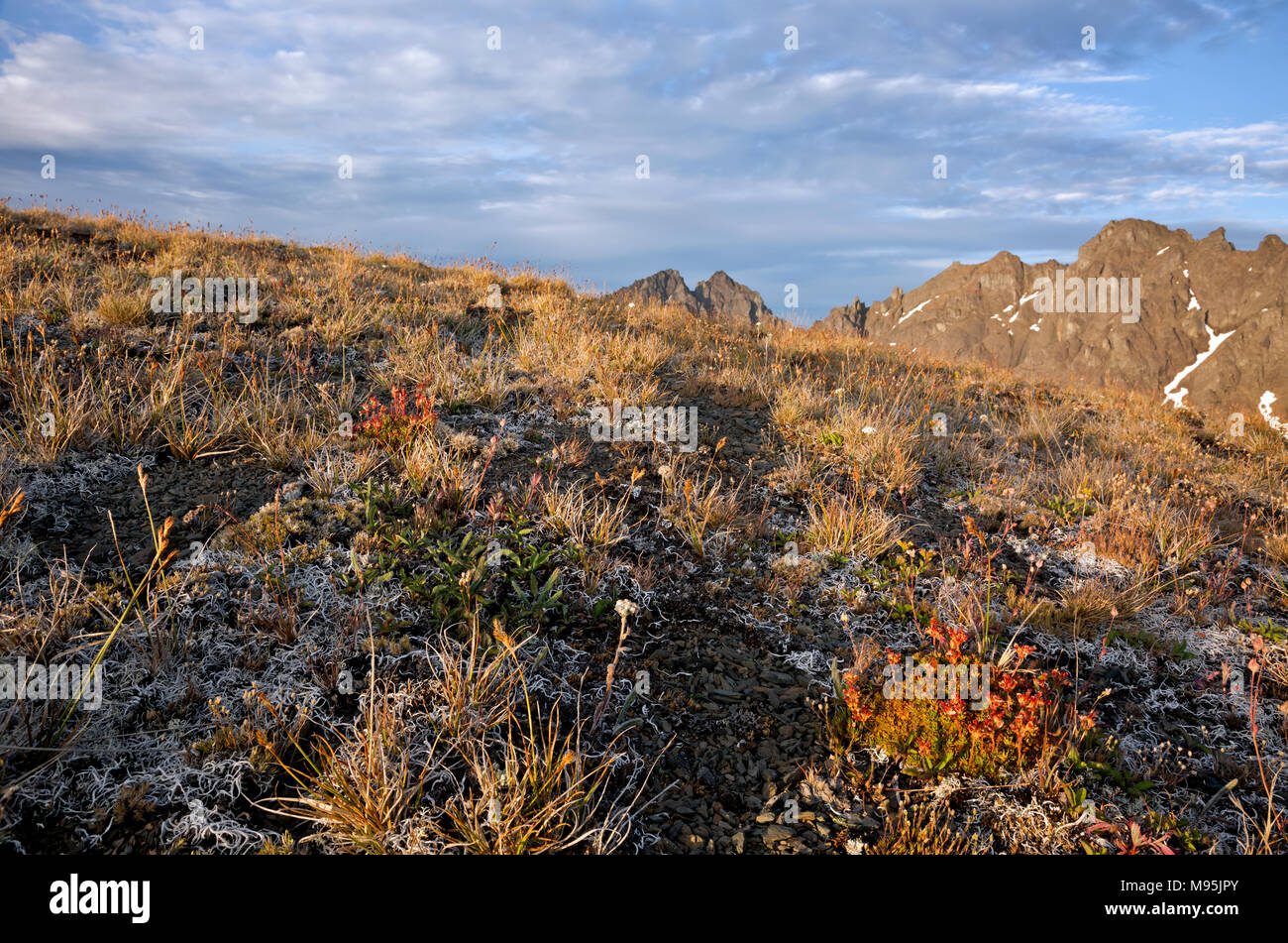 WA 13906-00 ... WASHINGTON - Del Monte Ridge und alpine Wiesen entlang ...