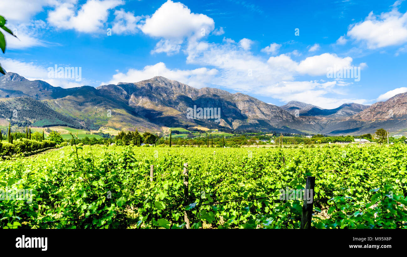 Groot drakenstein -Fotos und -Bildmaterial in hoher Auflösung – Alamy