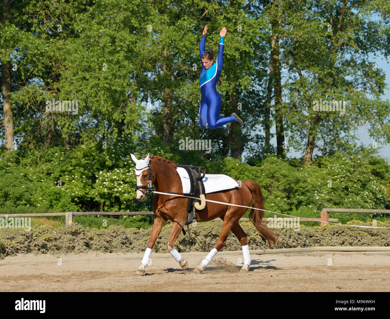 Equestrian vaulting -Fotos und -Bildmaterial in hoher Auflösung - Seite ...