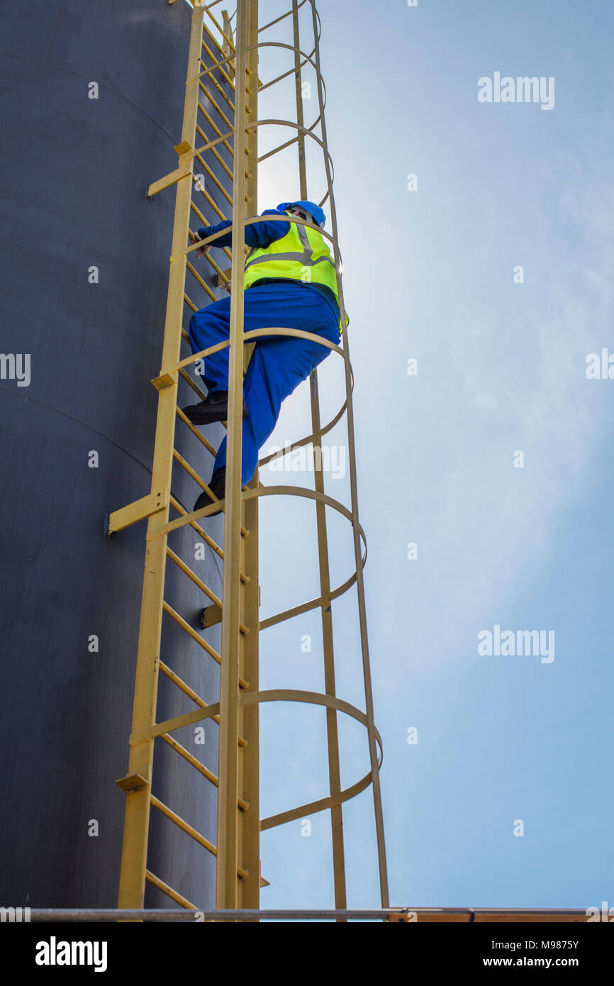 Klettere diese leiter hoch -Fotos und -Bildmaterial in hoher Auflösung ...
