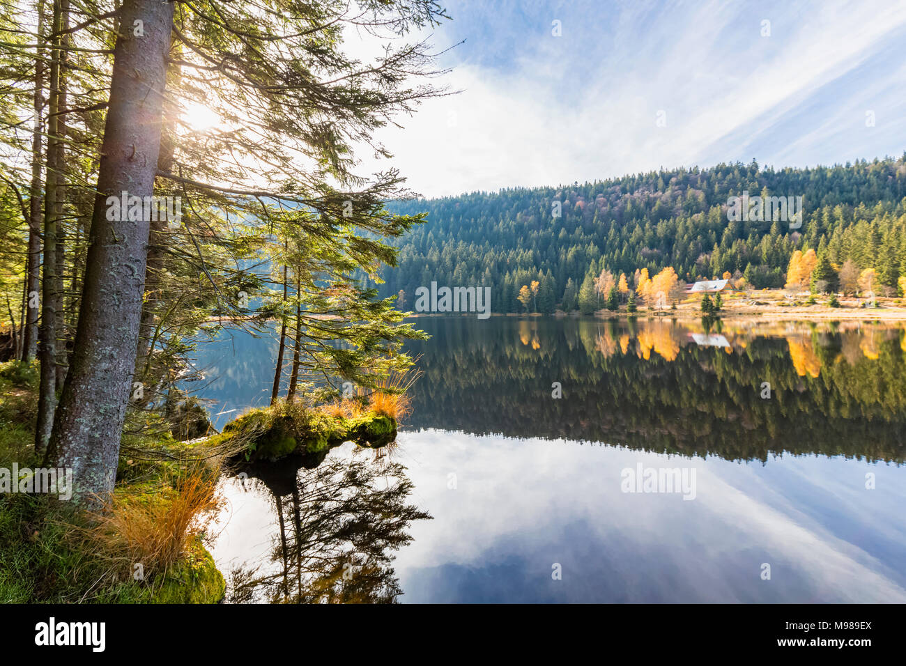 Bayerischer wald -Fotos und -Bildmaterial in hoher Auflösung – Alamy