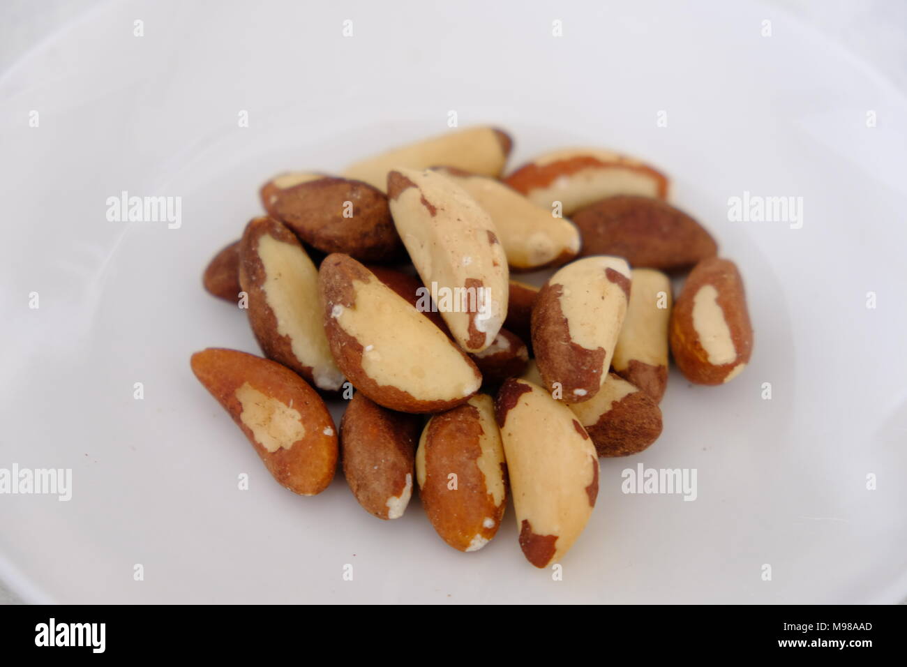 Brasilien nuss -Fotos und -Bildmaterial in hoher Auflösung – Alamy