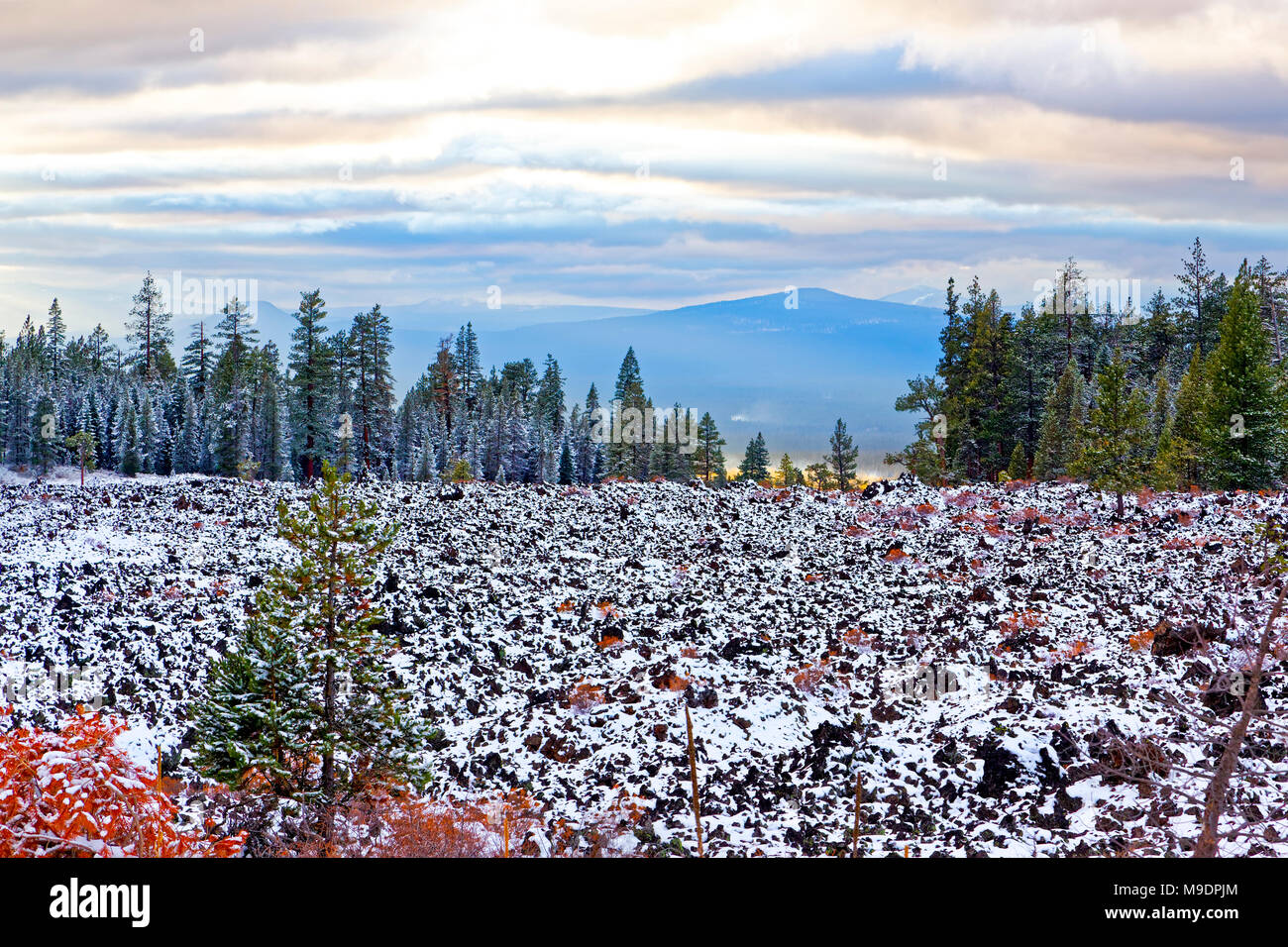Winter tal und nadelwald waldlandschaft -Fotos und -Bildmaterial in ...