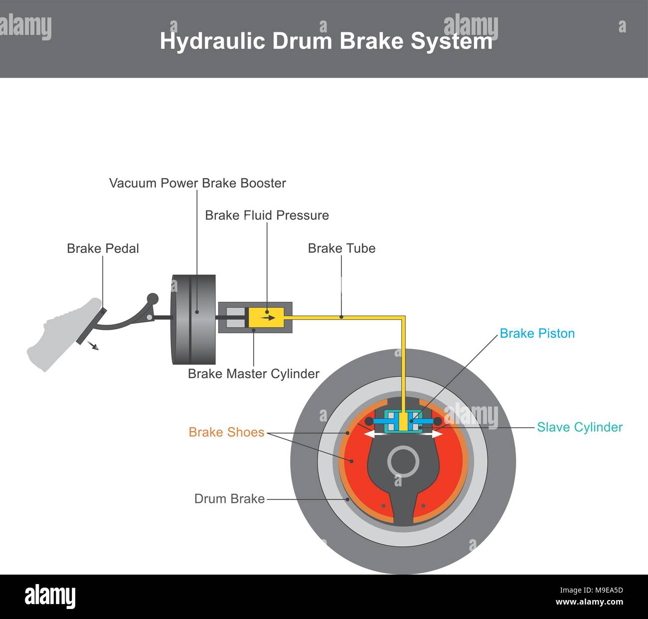 Diagramm Der Toyota Trommelbremse