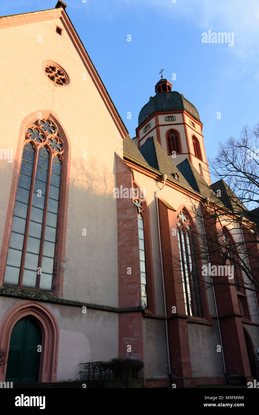 Dom st martin und st stephan -Fotos und -Bildmaterial in hoher ...