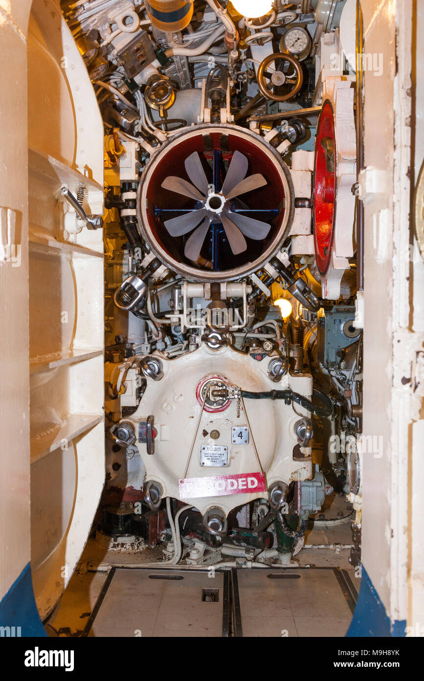 Vorwärts torpedo Tube/Rohre; port side, der HMS Alliance, einer Klasse ...