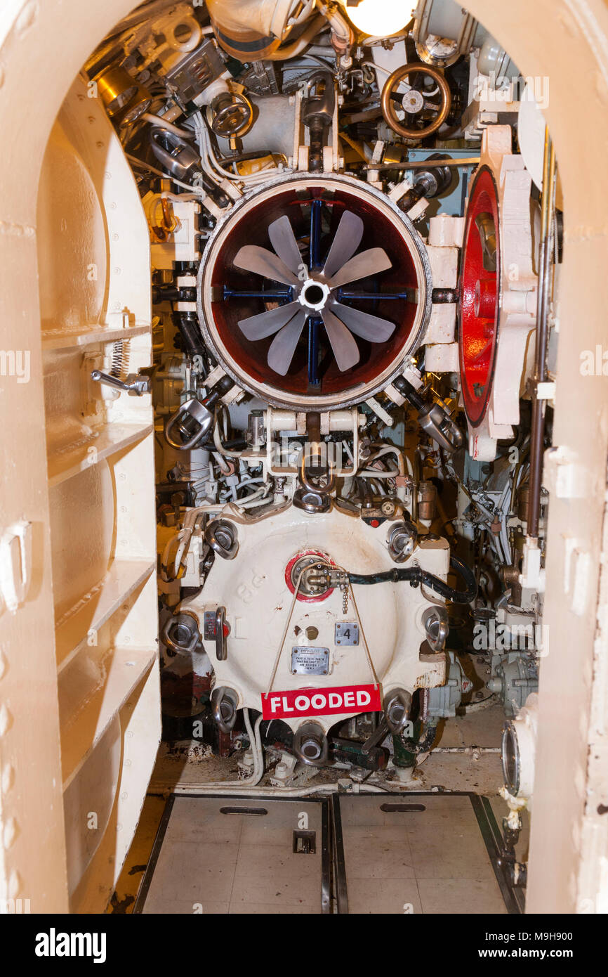 Vorwärts torpedo Tube/Rohre; port side, der HMS Alliance, einer Klasse ...