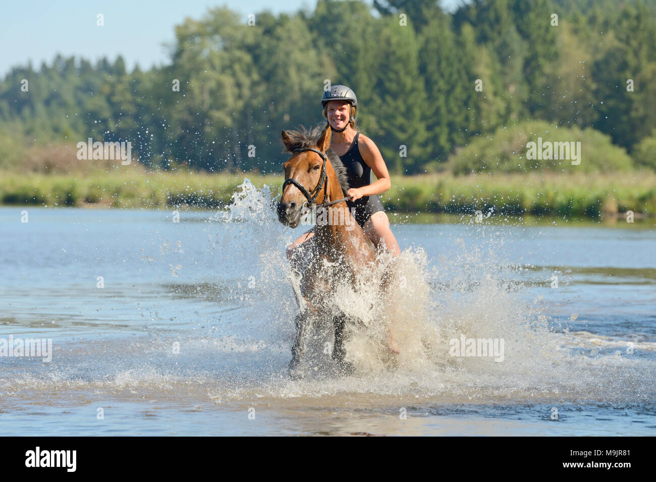 Pferde An Einem See Stockfotos und -bilder Kaufen - Alamy