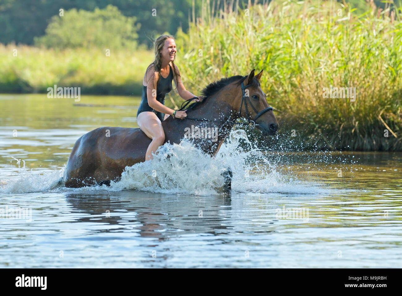 Pferde An Einem See Stockfotos und -bilder Kaufen - Alamy