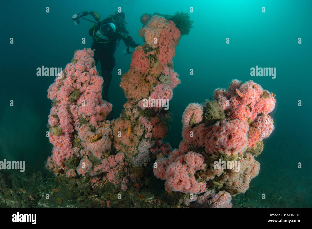 Large Anchor Stockfotos und -bilder Kaufen - Alamy