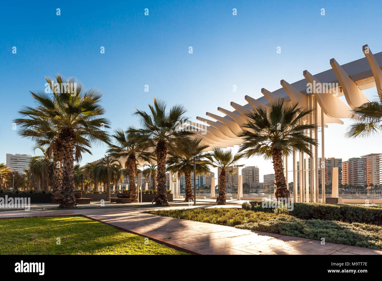 Parque de malaga -Fotos und -Bildmaterial in hoher Auflösung – Alamy